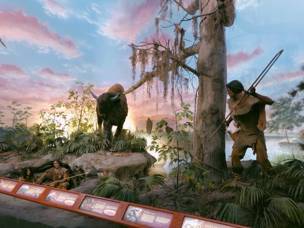 Step Back in Time at the Bishop Museum of Science and Nature ...