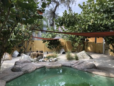 The Ultimate Guide to ZooTampa At Lowry Park - Tampa, Florida - Family