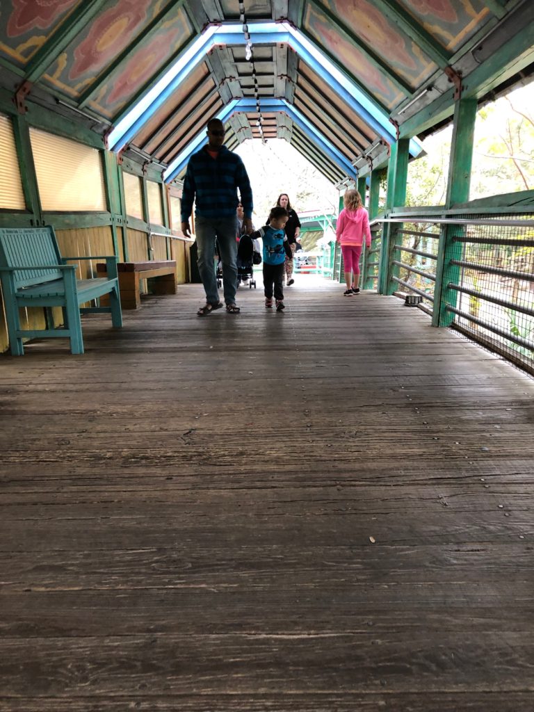 The Ultimate Guide to ZooTampa At Lowry Park - Tampa, Florida - Family