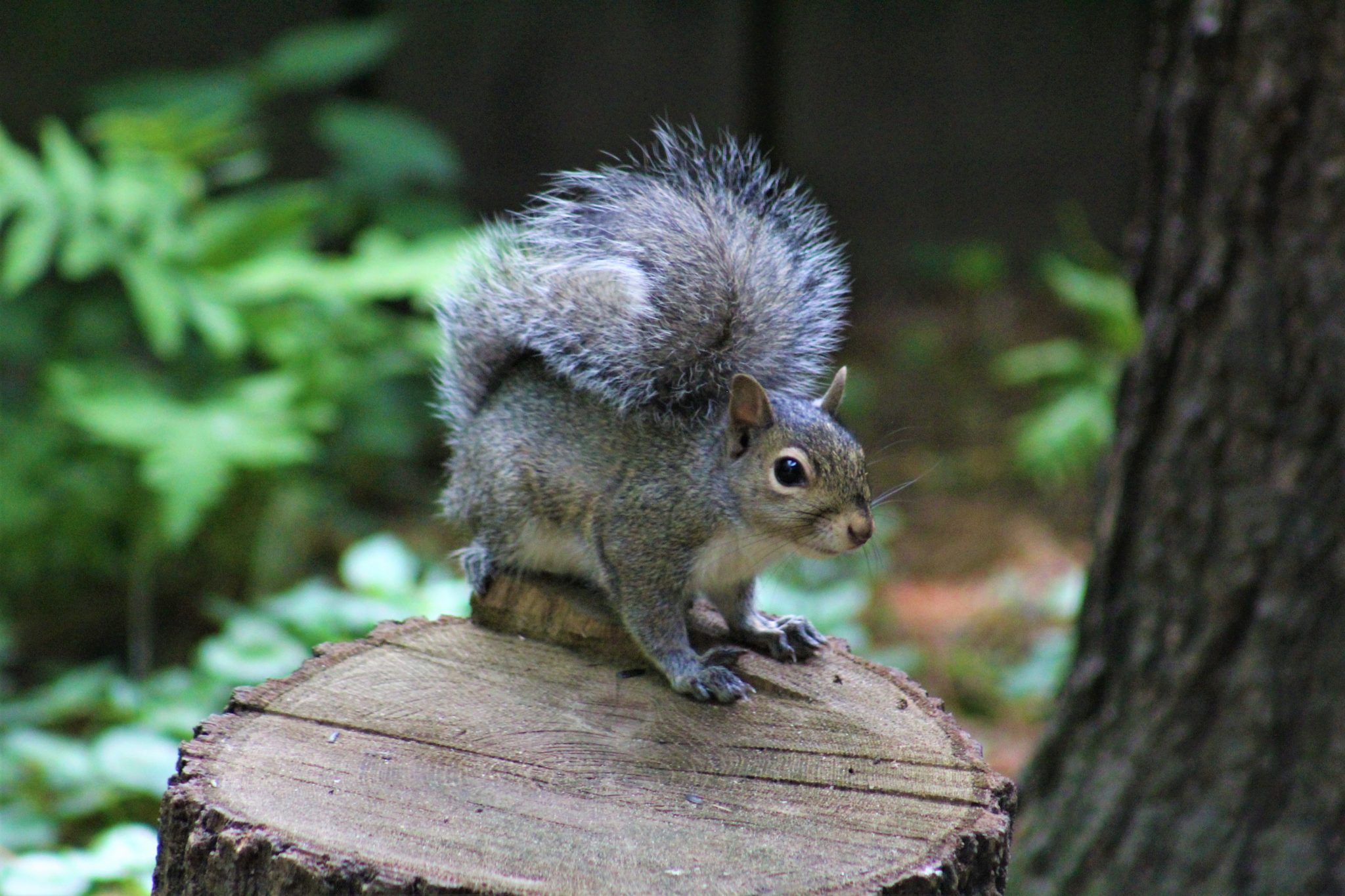 Indiana Dunes State Park Nature Center ~ Things You Should Know!