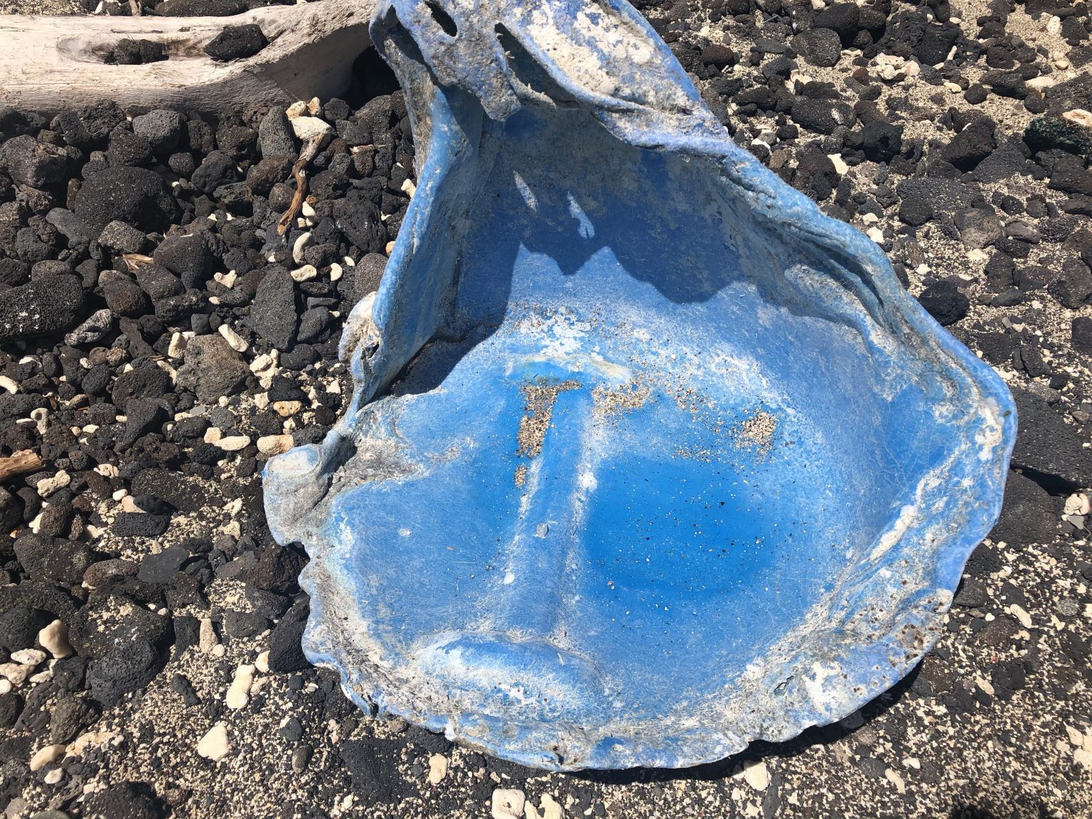 A visit with Upcycle Hawaii to one of the most polluted shorelines in ...
