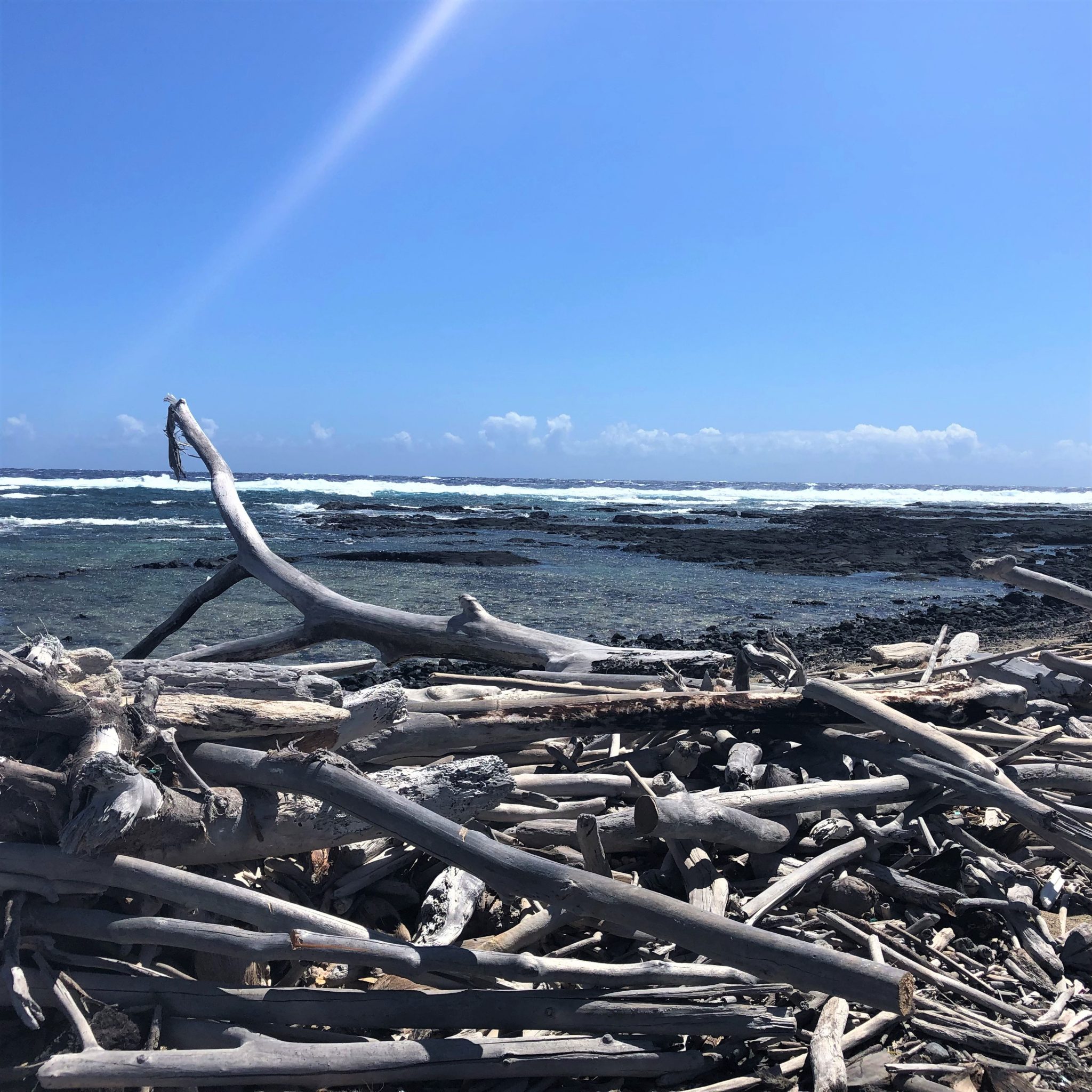 A visit with Upcycle Hawaii to one of the most polluted shorelines in ...