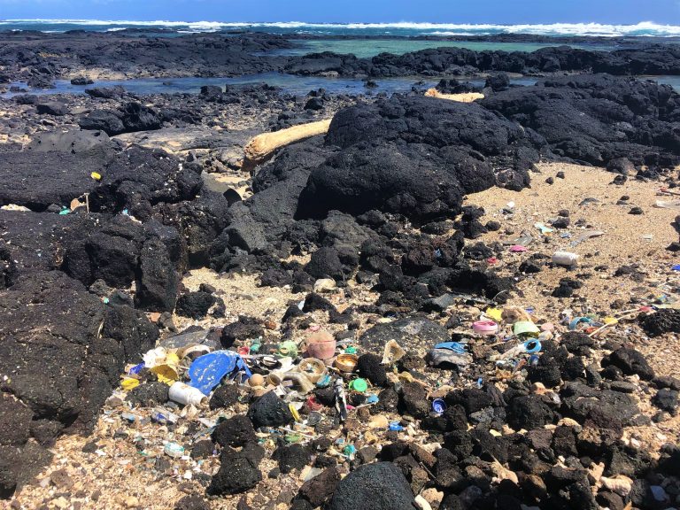 A visit with Upcycle Hawaii to one of the most polluted shorelines in ...