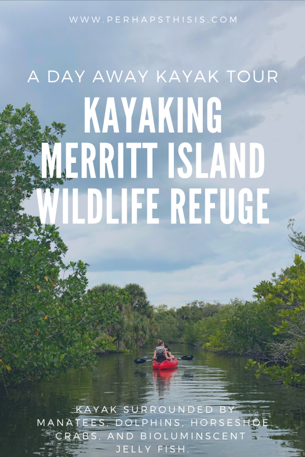 Make The Most Of Your Unforgettable Florida Kayak Tour