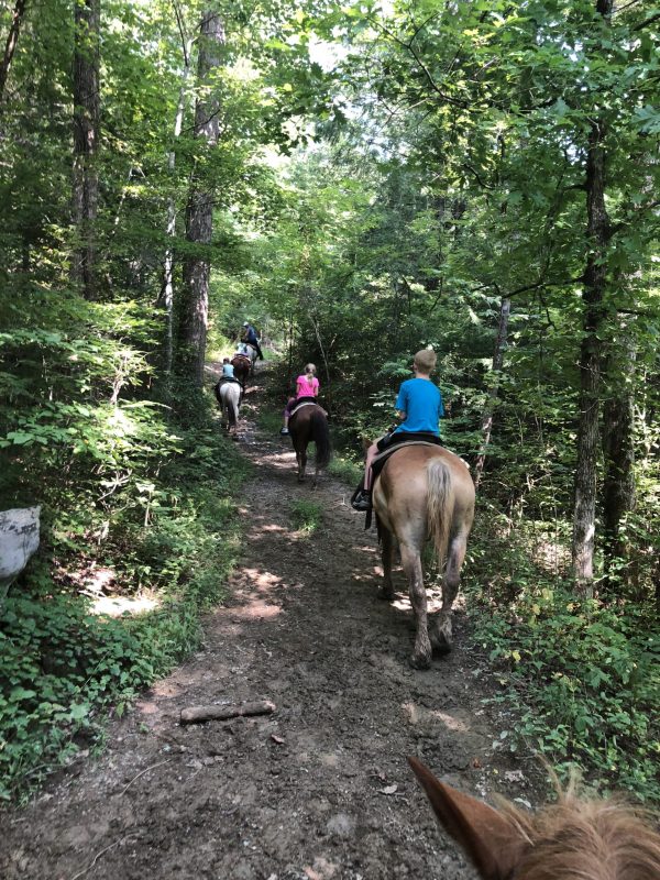 Why We Will Never Forget Our Ride At Davy Crockett Riding Stables