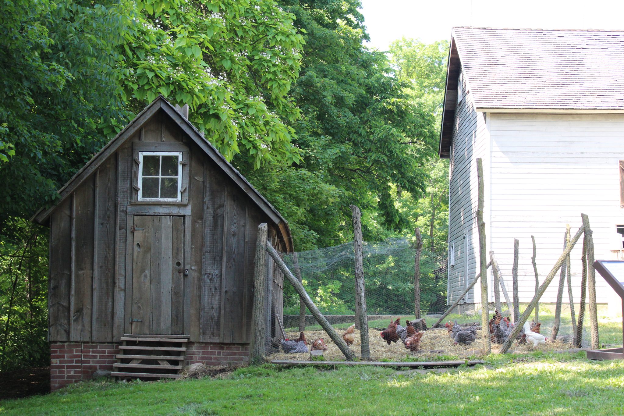 Chellberg Farm Indiana Dunes National Park: 6 Reasons You'll Love It!